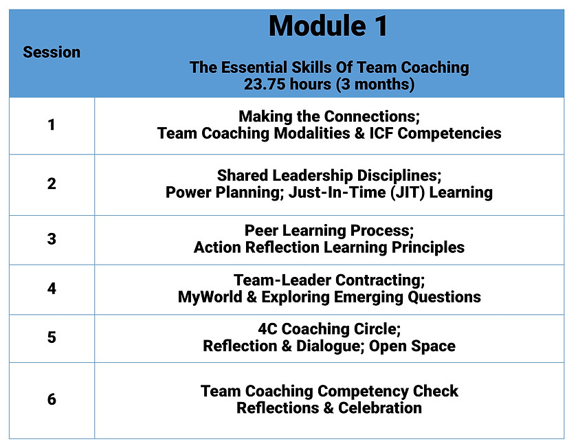 Team-Coach-Certification-Program